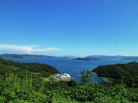 鎌倉殿の13人の次は家康でその次は元寇文永弘安の役か 紫式部だそうです 隅田川左岸から 楽天ブログ