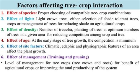 Lecture 4 Tree And Crop Interaction In A Agroforestry System Pptx
