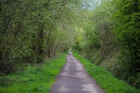 Way Free Stock Photo Public Domain Pictures