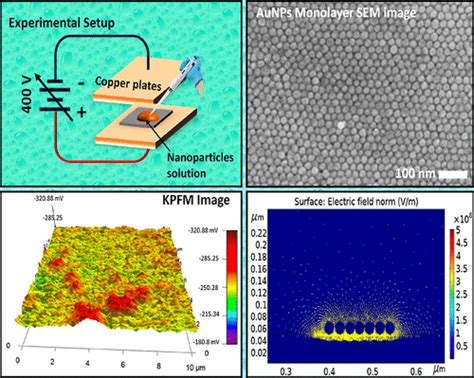 Electric Field Driven Self Assembly Of Gold Nanoparticle Monolayers On Silicon Substrates Langmuir