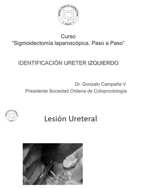 Sigmo 07 Eco Pdf