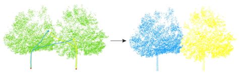 forests free full text street tree extraction and segmentation from