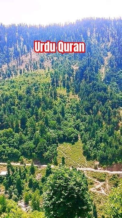 Quran Urdu Translation Youtubeshorts Shorts Ytshorts Trending
