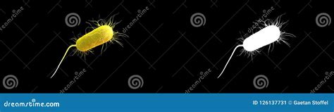 3d Illustration Of A Pseudomonas Aeruginosa Bacteria Stock Illustration