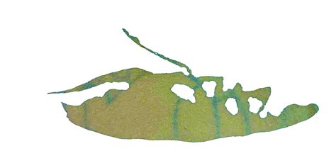 Papa Roach Cockroach By Mudshuvel On Deviantart