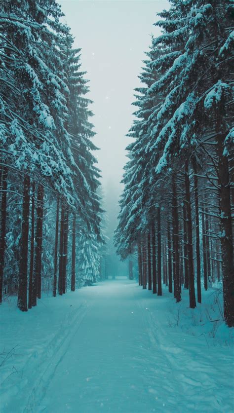 Обои на рабочий стол пейзаж зимой кругом снег рассвет лёд на