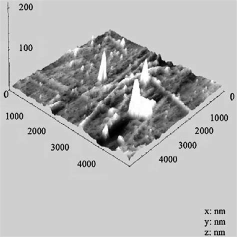 Plasma Surface Modification Of Polycarbonate And Polypropylene Substrates For Biomedical