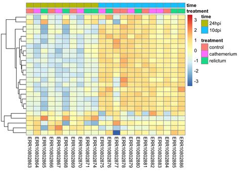 RNA Seq Analysis Gene Count Table Analysis