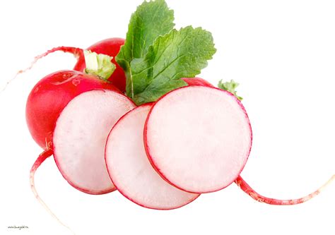 무 야채 Png 그림