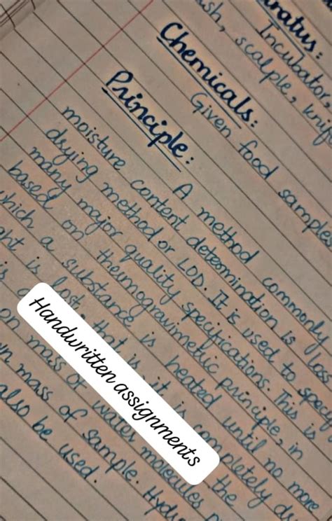Make Assignments And Do Report Writing By Minahilolakh Fiverr