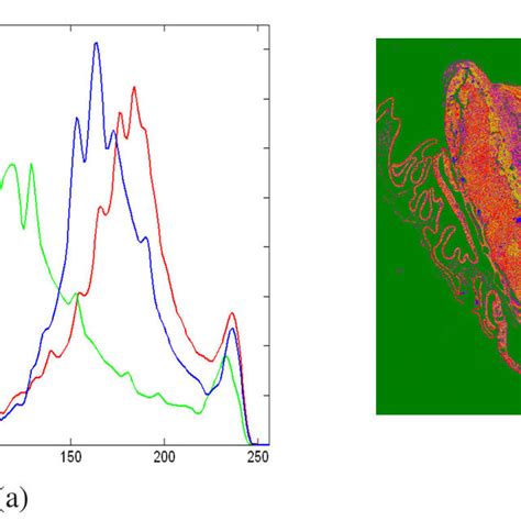A Rgb Histograms Of The Placenta Section Are Shown To Be Download Scientific Diagram