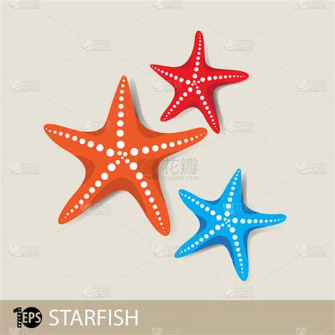 海滩上的彩色海星 矢量插图 海滩上的彩色海星 矢量插图