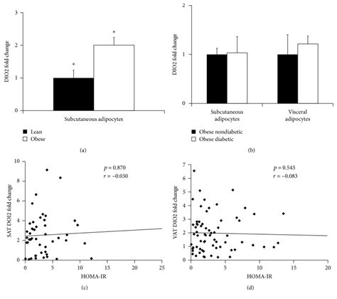 Adipocyte Dio2 Expression Increases In Human Obesity But Is Not Related