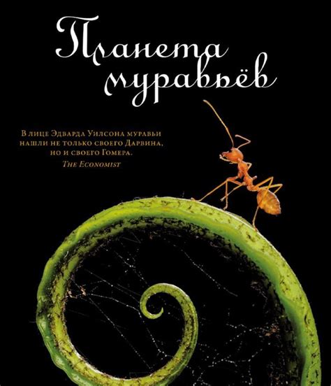 Биология | «Биомолекула»