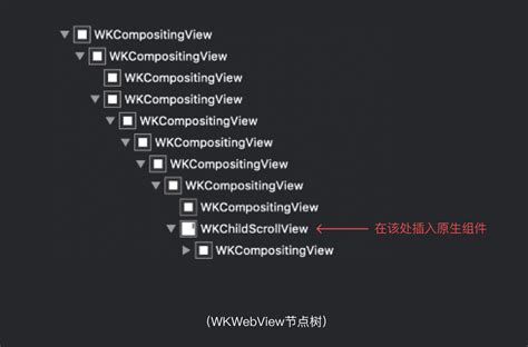 小程序的原生组件同层渲染原理同层组件 Csdn博客