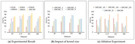 Hyperspectral Image Classification Based on Dense Pyramidal Convolution and Multi-Feature Fusion