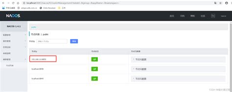 Nginx实现Nacos反向代理的项目实践 张生荣