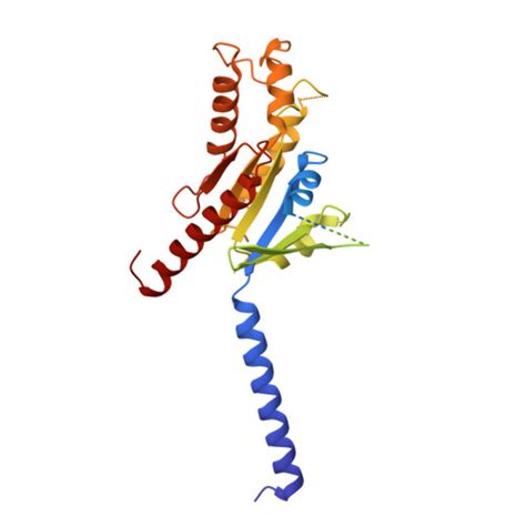RCSB PDB 7WZ4 Structure Of An Orphan GPCR G Protein Signaling Complex