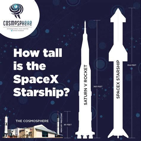 Starship Size Comparison Poster