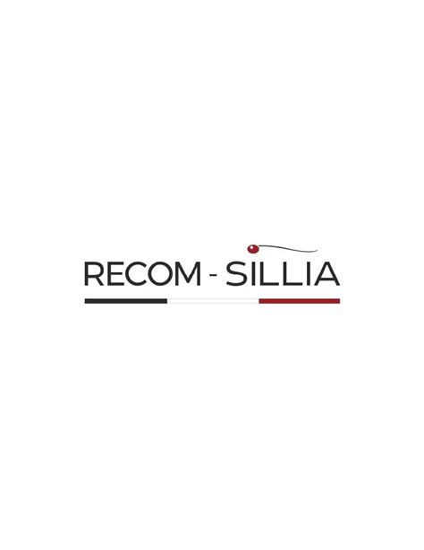 Recom Sillia La Révolution Des Recommandations Personnalisées