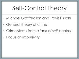 Self Control General Theory Of Crime Essay Paper My Best Writer