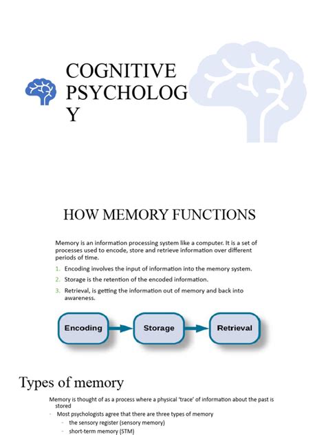 Cognitive Psych Pdf Long Term Memory Memory