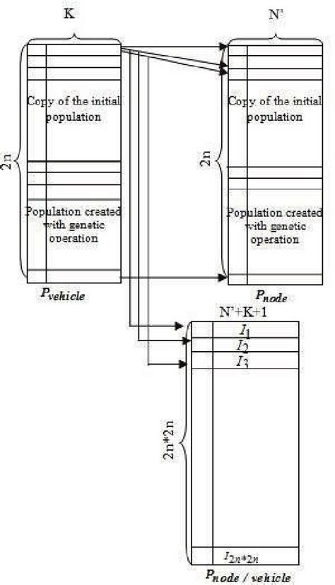 computation procedure download scientific diagram
