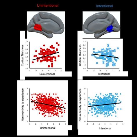 Daniel Schacter William R Kenan Jr Professor Of Psychology Phd Harvard University Ma