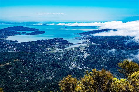 What We Do Marin Conservation League