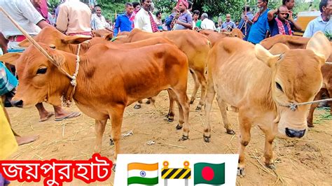 ২১জুন২৪🇮🇳ভারত বাংলা সিমান্ত এলাকার গরুর হাট থেকে প্রচুর চাহিদা