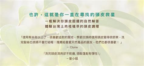 頭皮調理洗髮精4入組