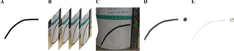 Figure 1 From A Deep Learning Based Automatic Tool For Measuring The
