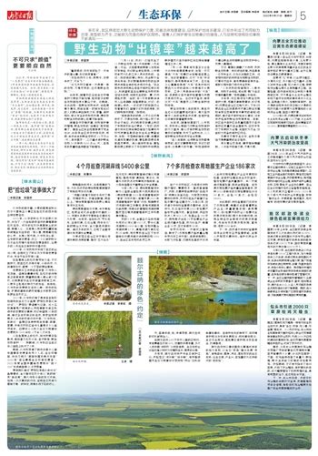 内蒙古日报数字报
