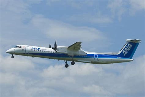 Dhc8 Q400型機チャーターフライト ～q400 南の島物語～ 国内ツアー Ana