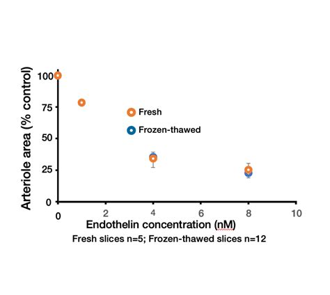 Human Precision Cut Lung Slices Ga Anabios