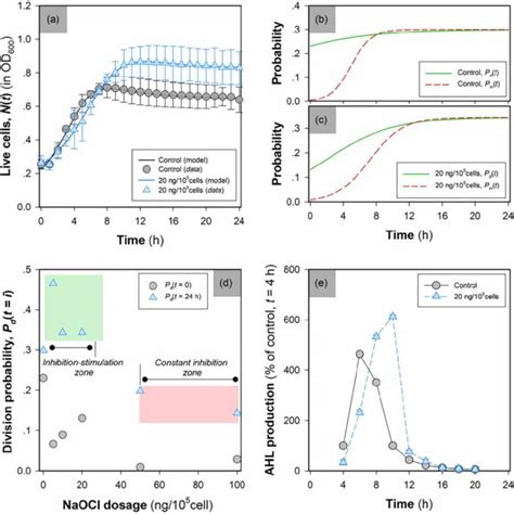 Zhiwei Wang Professor Full Phd Tongji University Shanghai