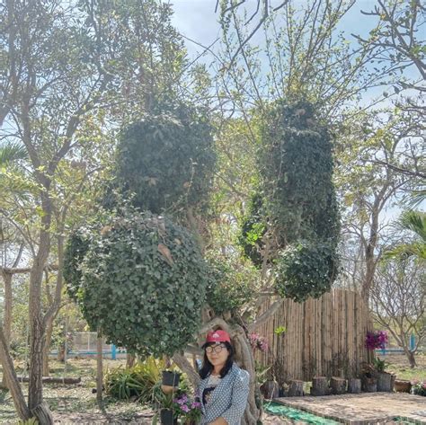 ชอบจัง บางแสน ชอบจัง บางแสน Added A New Photo
