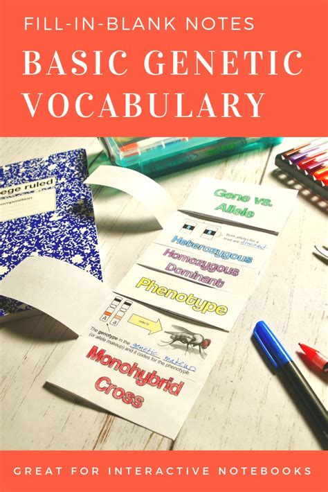 Genetics Vocabulary Review Foldable Notes Science Notebooks