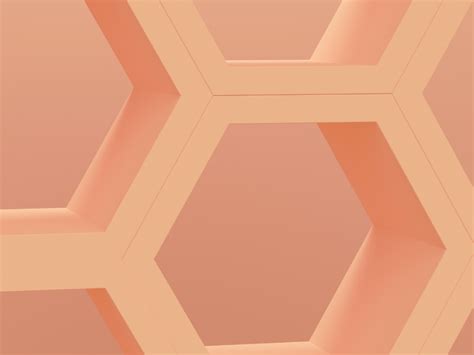 5 Best Practices To Look For In Accounts Payable Automation Software Traild Software