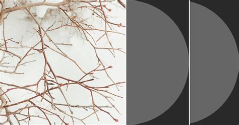 List Node2vec Curated By Ammar Kamilin Medium