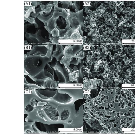 Sem Micrographs Of The Activated Carbons A1a2 Activated Carbon From Download Scientific