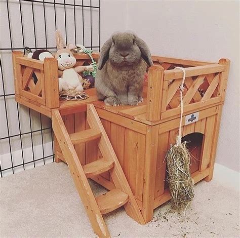 Pin On Bunny Homes Pet Bunny House Pet Bunny Rabbits Bunny Room