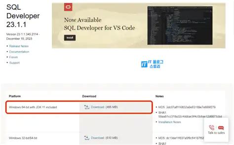 Sql Developer It