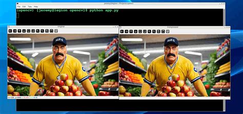 使用opencv进行图像压缩的完整指南 Techsyncer 使用opencv进行图像压缩的完整指南 Techsyncer