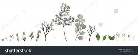 Vector Designer Elements Set Collection Green Stock Vector Royalty
