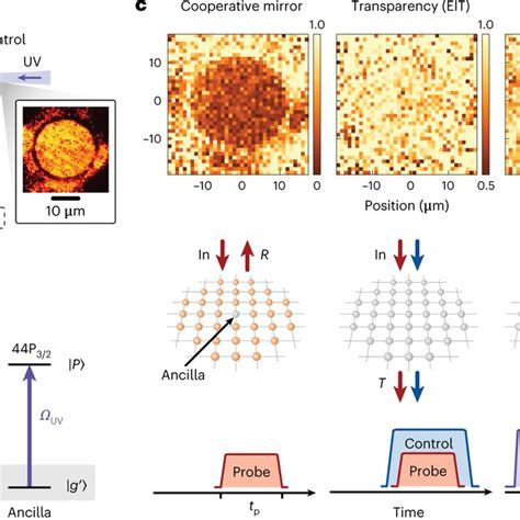 Spatially Resolved Switching Area The Radially Averaged Transmittance