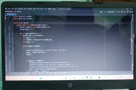 Balaram Sikdar on LinkedIn: Assignment 1 Guessing the number InternPe Done ️
