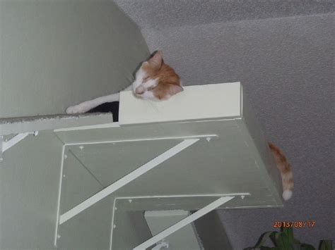 Pictures Of Marsha Jordan