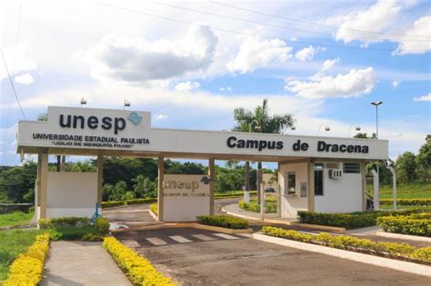 Unesp De Dracena Abre Inscrições Para Contratação De Psicólogo Nesta