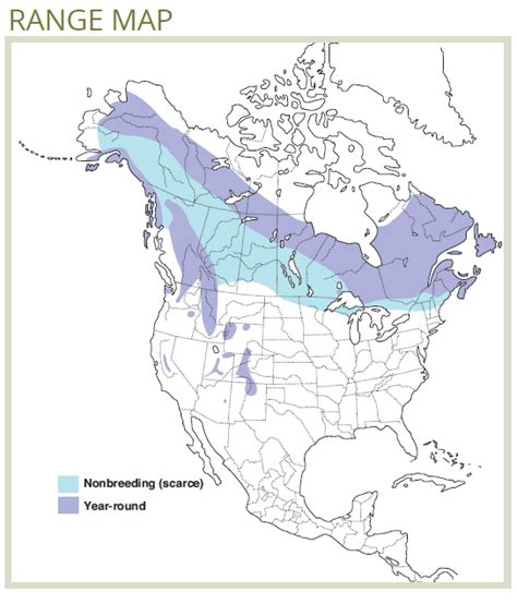 Pine Grosbeak Forestry Fact Sheet Fri Research